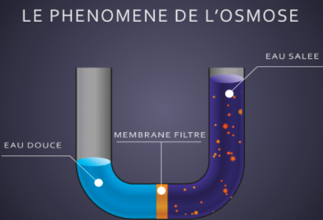 Station – Beni Saf Water Company